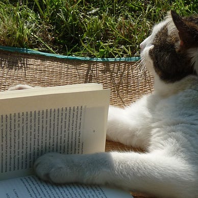 Ultimate Guide to Fine-Tuning in PyTorch : Part 3 —Deep Dive to PyTorch ...