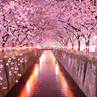 8 Stunning Python Dictionary Tricks That Make Your Code Elegant | by Yang Zhou | TechToFreedom ...