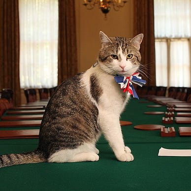 One-Minute Facts: The Chief Mouser to The Cabinet Office | by CarolF ...