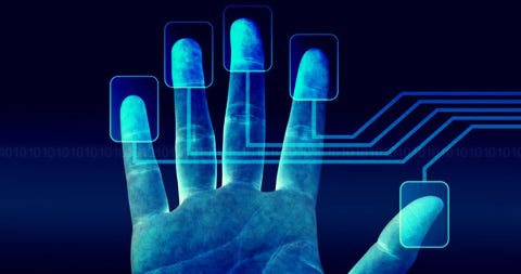 From idea to AI deployment: using deep learning for finger-vein ...