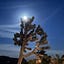 How Many Stars Are Really Visible? | by Robert Roy Britt | Aha! Science ...