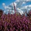 Working Together: Engineering Manager / Product Owner / Technical Lead ...