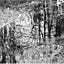 Welcome to Zomia, the Anarchist Country You've Never Heard Of | by ...