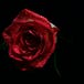 5 signs you're dating a nonchalant partner | by King J. | relationships ...