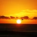 What Is the Meaning of Life?. A Journey Through Philosophy, Science ...