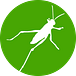 Getting started with Grasshopper. 👋 Hi there and welcome! This course… | by Danil Nagy ...