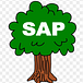 Implementing Select-Options with AMDP in SAP ABAP | by SATYASRI AKULA | SAP Innovation Hub | Medium