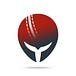 All about cricket umpire hand signals — Different types and their ...