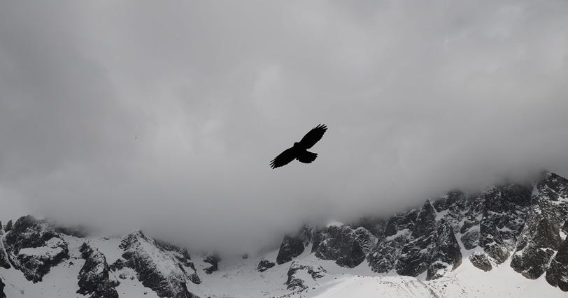 The Mountain and the Eagle. “Would you like to hear another story ...