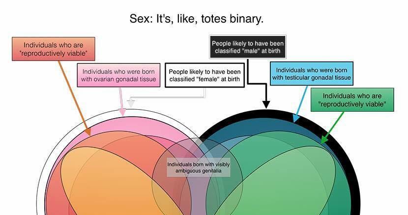 Common Biologically Essentialist Language | by Cat Harsis | Medium
