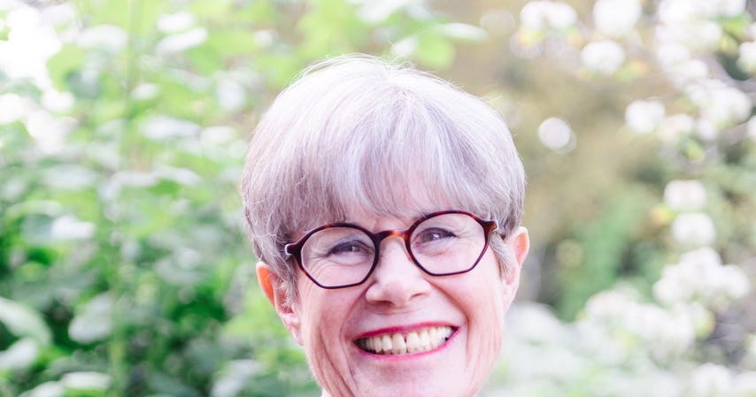 Social Impact Authors: How & Why Author Susan Salenger Is Helping To ...