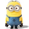 Minion Yellow – Medium
