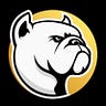 ICP.DOG – Medium
