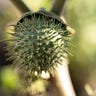 A vulnerability on Patreon, and their elusive bounty program. | by ...