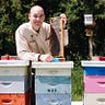 10 Beekeeping Instagram Accounts You Should be Following | by Jay ...