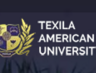 Texila American University – Medium