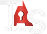 Trident Autosys – Medium
