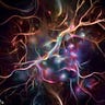 Veronica Seider: The Woman with Superhuman Vision | by BIOMEDICAL ...