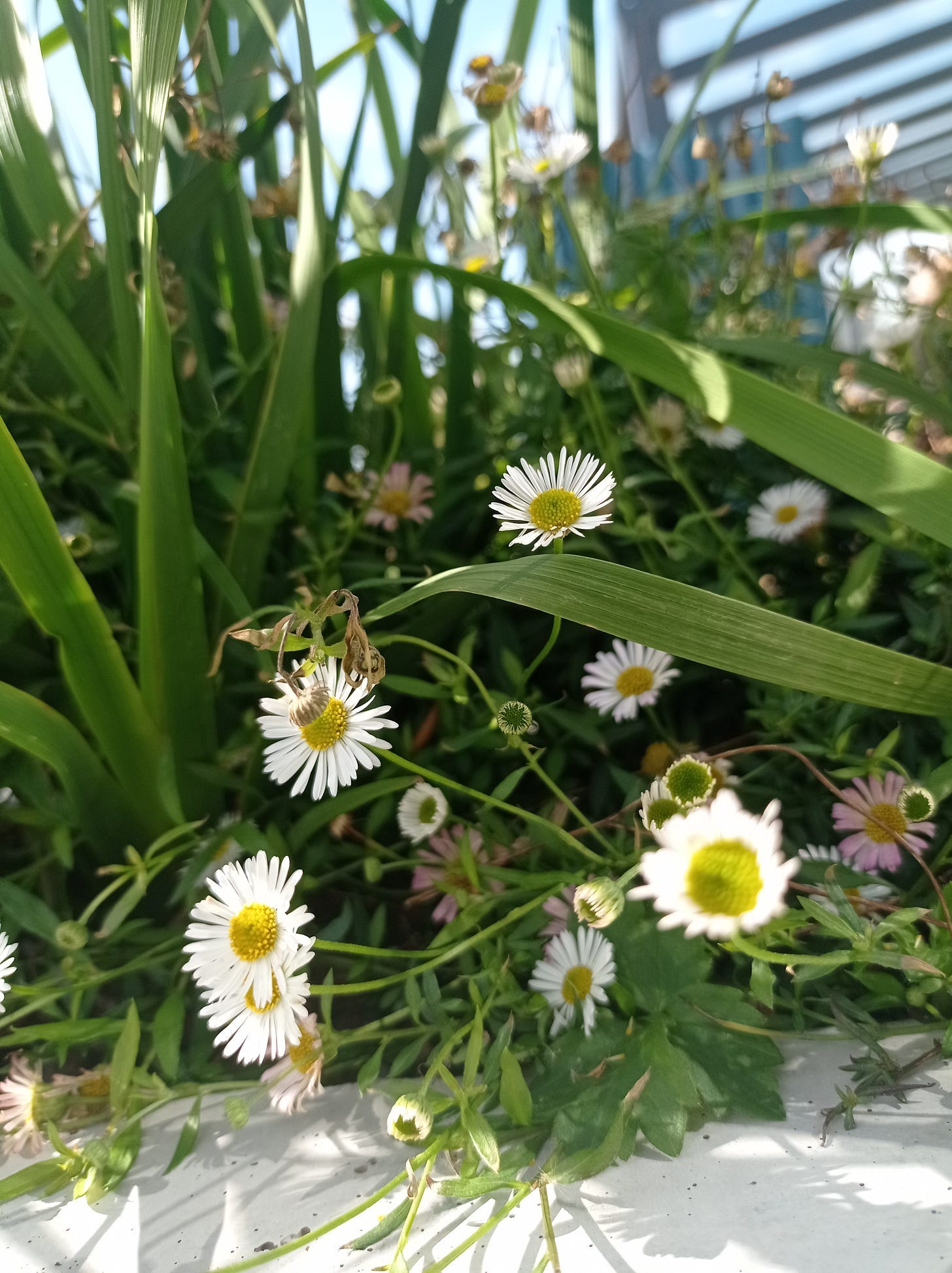 😂😂 for sure! - Corine Hilda - Medium