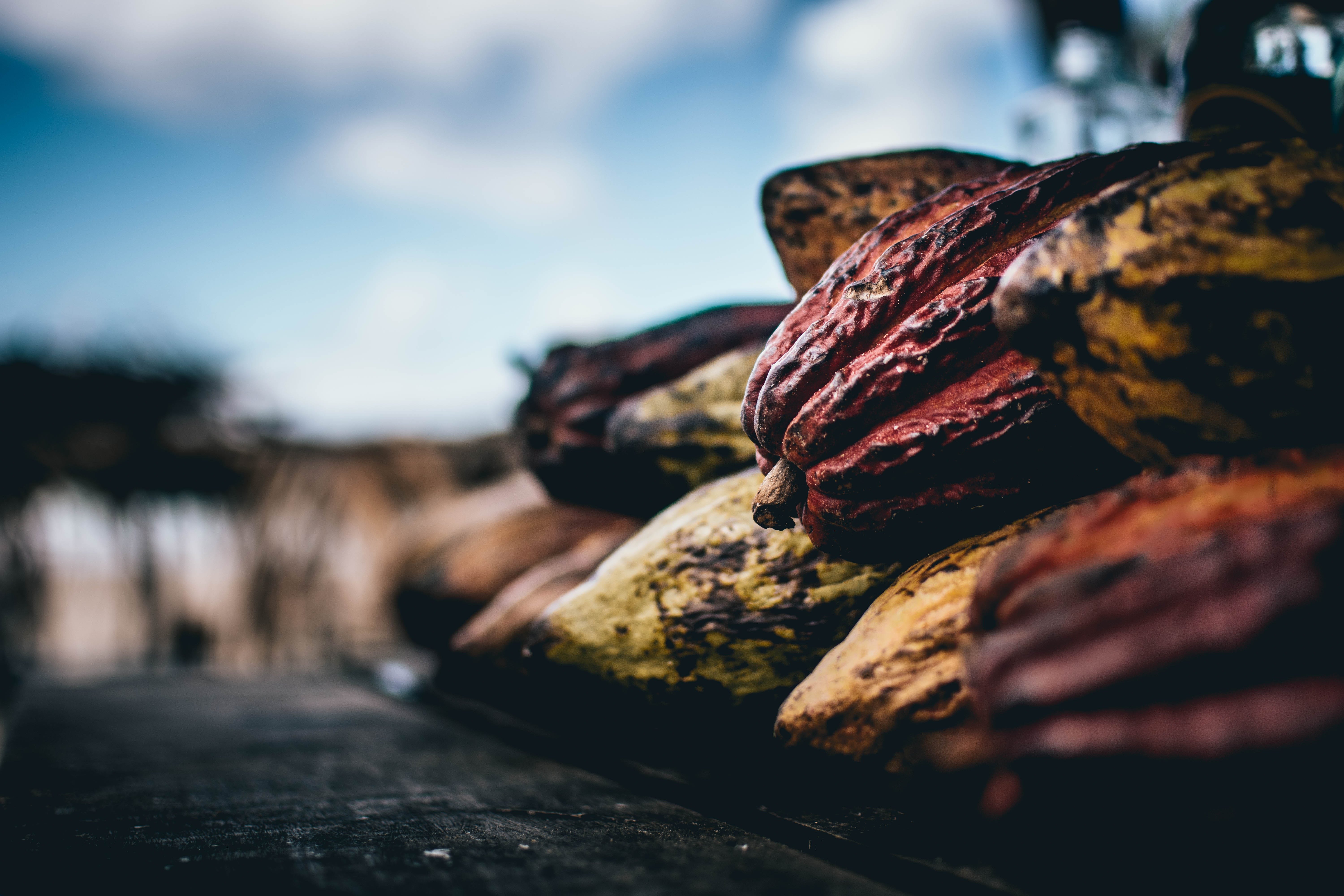 Create Cocoapods And Why Cocoapods Is A Great Tool To Help With… By Islam Ibrahim