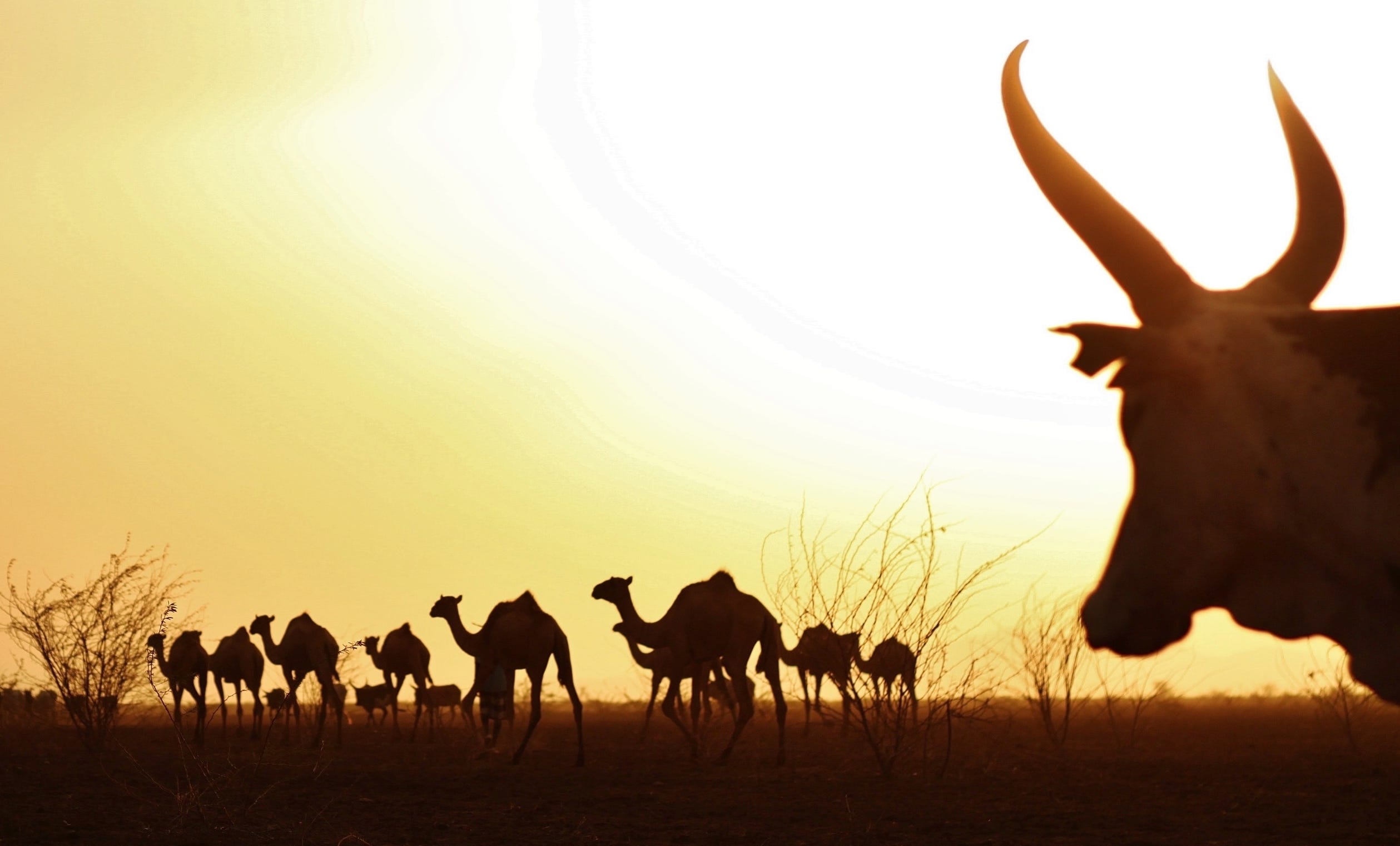 About Modern Job Trade — Nomad as a Network of Innovation | by Nomad ...