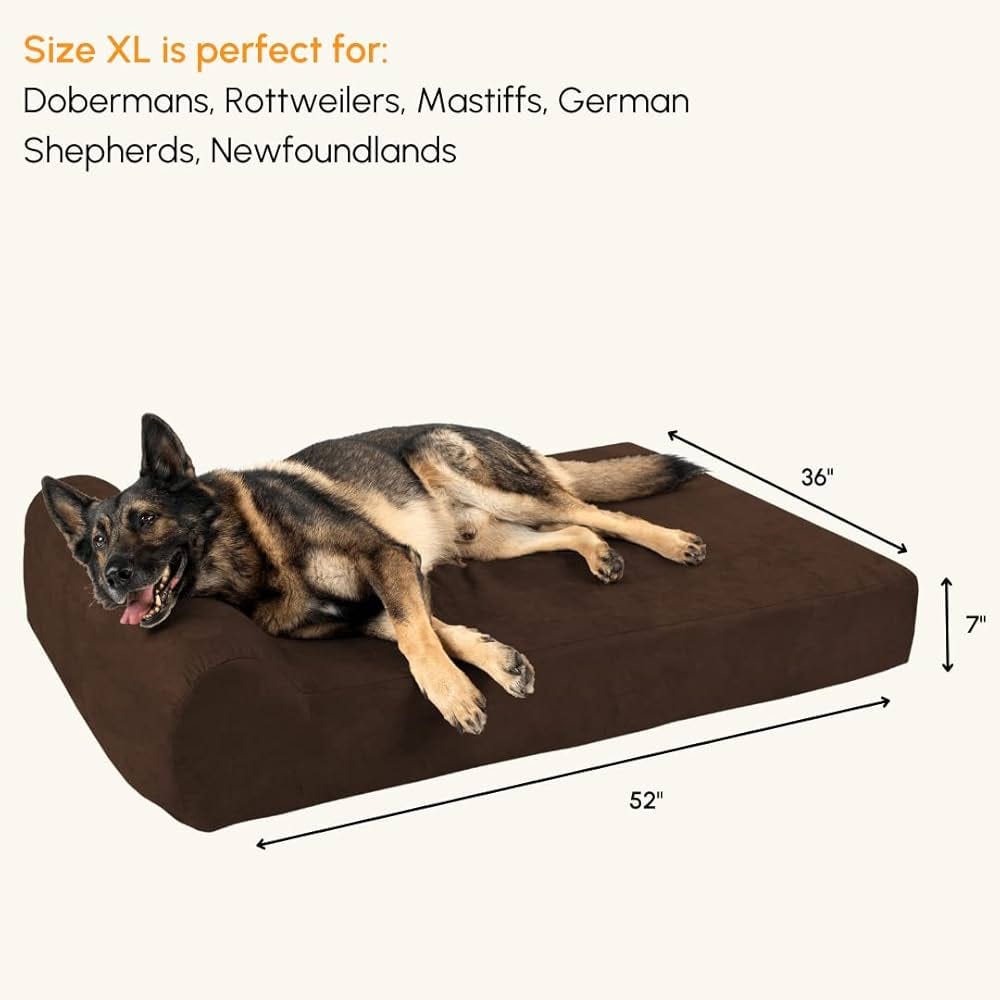 Top Picks for the Best German Shepherd Security Signs: Ultimate Guide ...