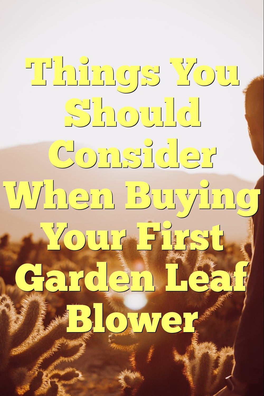 Things You Should Consider When Buying Your First Garden Leaf Blower ...