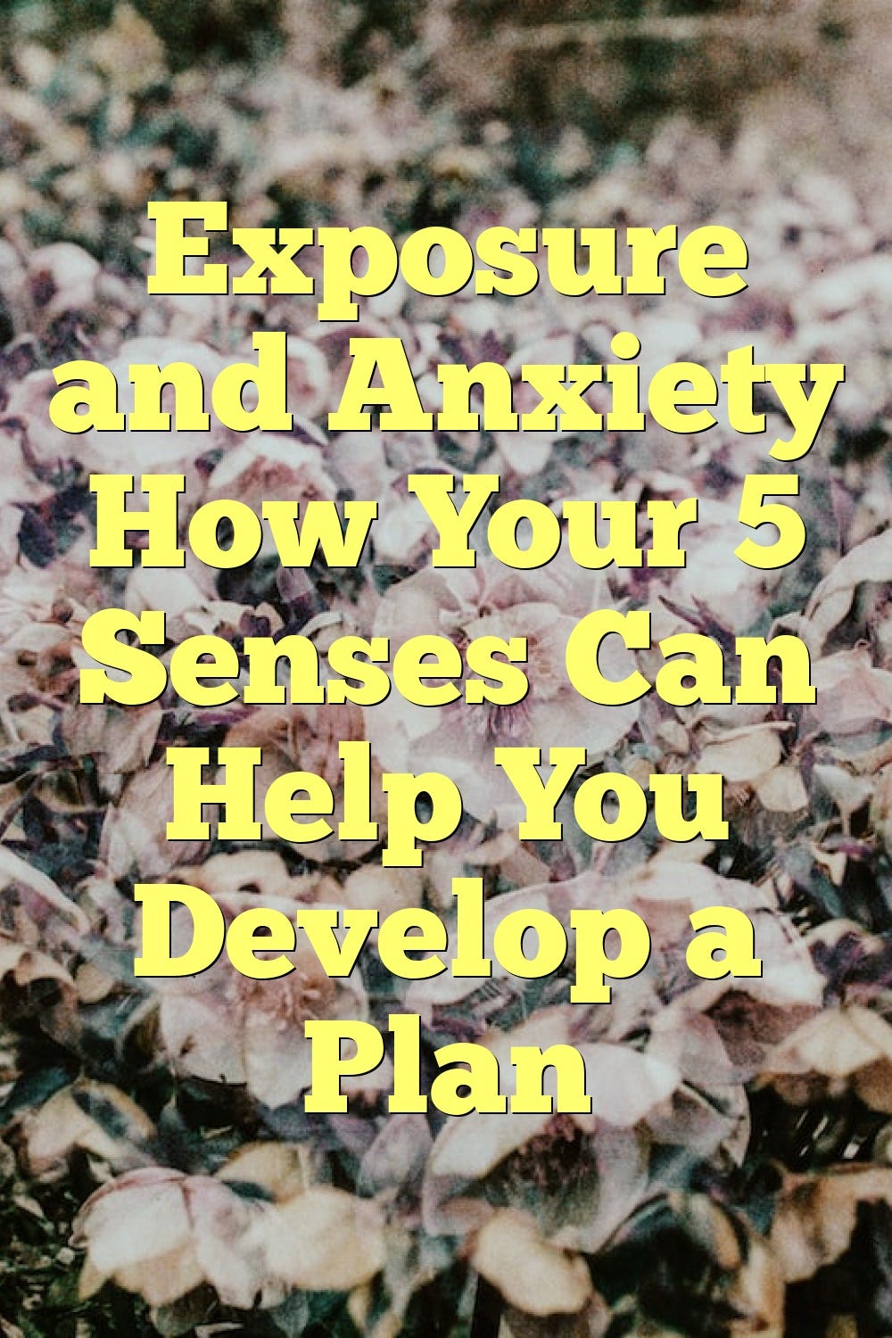 Exposure and Anxiety How Your 5 Senses Can Help You Develop a Plan | by ...