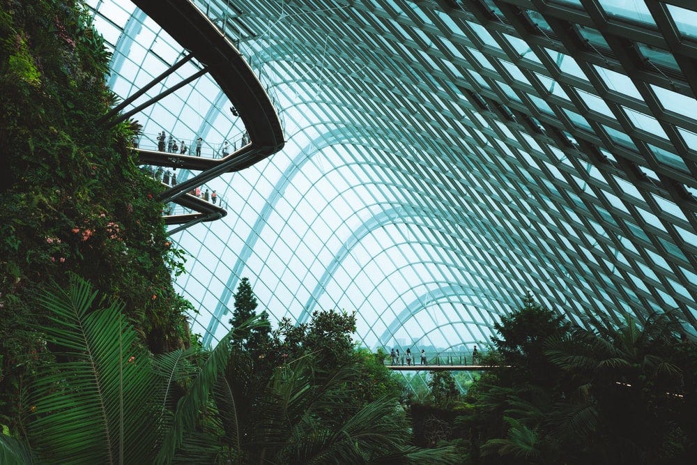 the-future-of-ux-design-let-s-talk-trends-what-will-design-do-by