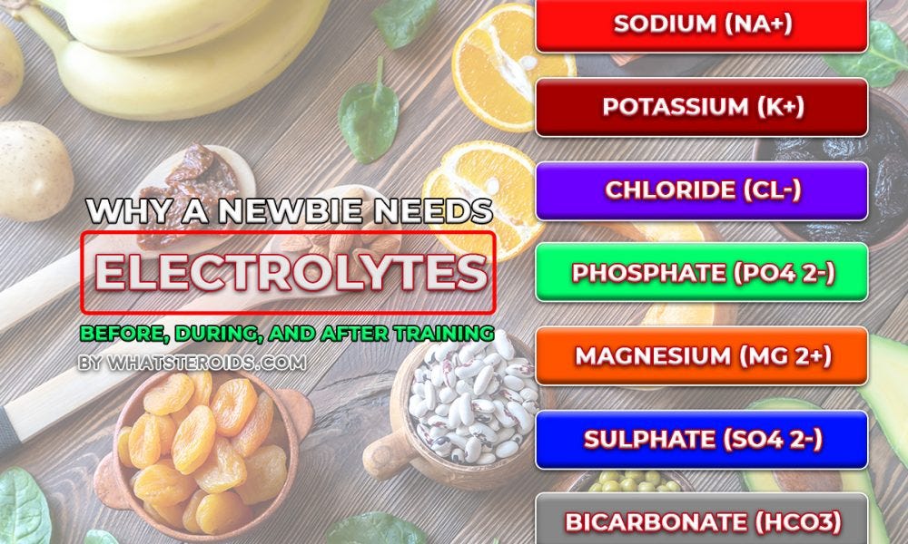 Electrolytes Like Salt Before, During, and After Training - Yakiy Sara ...