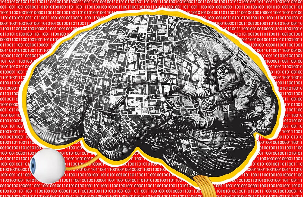 Neurotechnology and Architecture: how bidirectional knowledge exchange ...