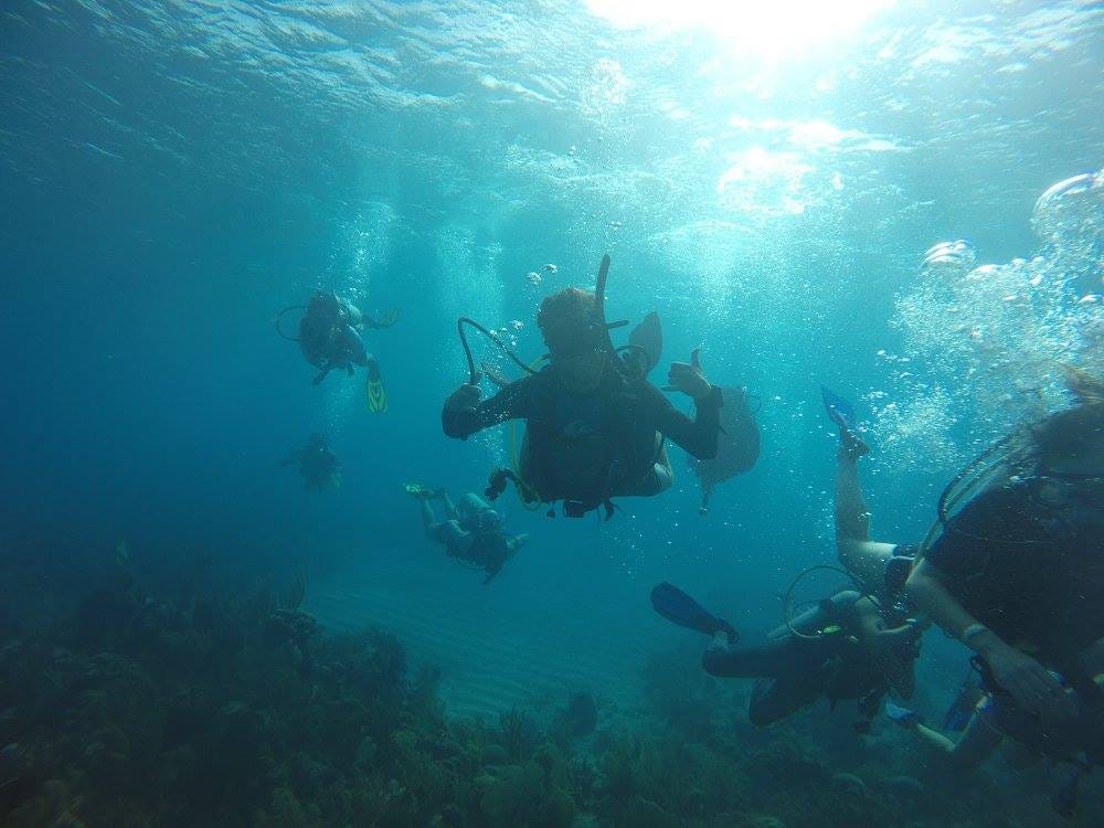 When a Fish Thought I Was a Whale (And I Thought It Was A Shark) | by ...