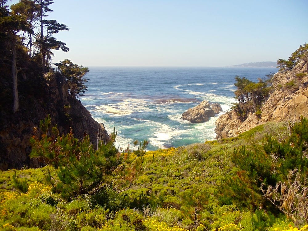 Screensaver reality — Point Lobos #EarthDay | by Kamalpreet Badasha ...