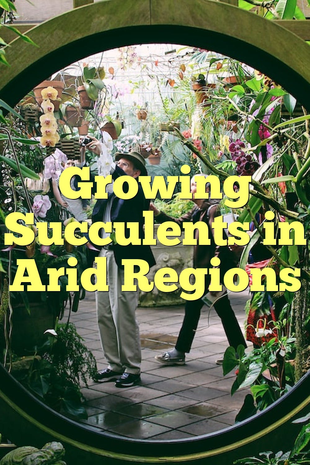 Growing Succulents in Arid Regions | by Alen Mert | Medium