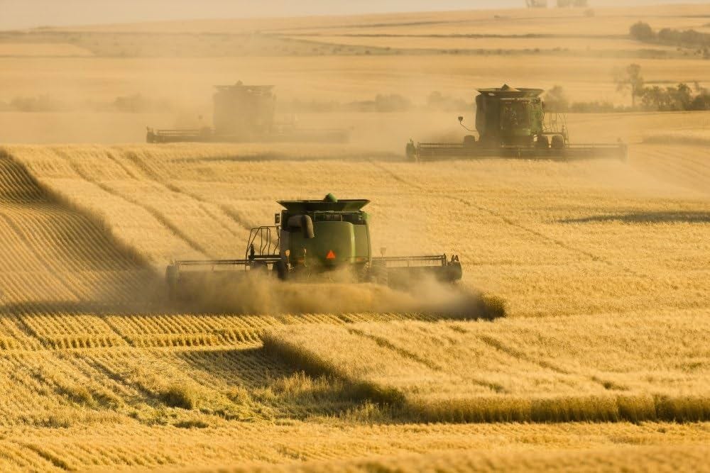 The World’s Most Enormous Agricultural Fields | by Hydrau | Medium