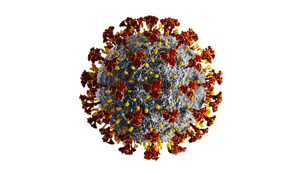 You Must Be Aware of The BF7 Virus | by Concepto Diagnostics | Medium