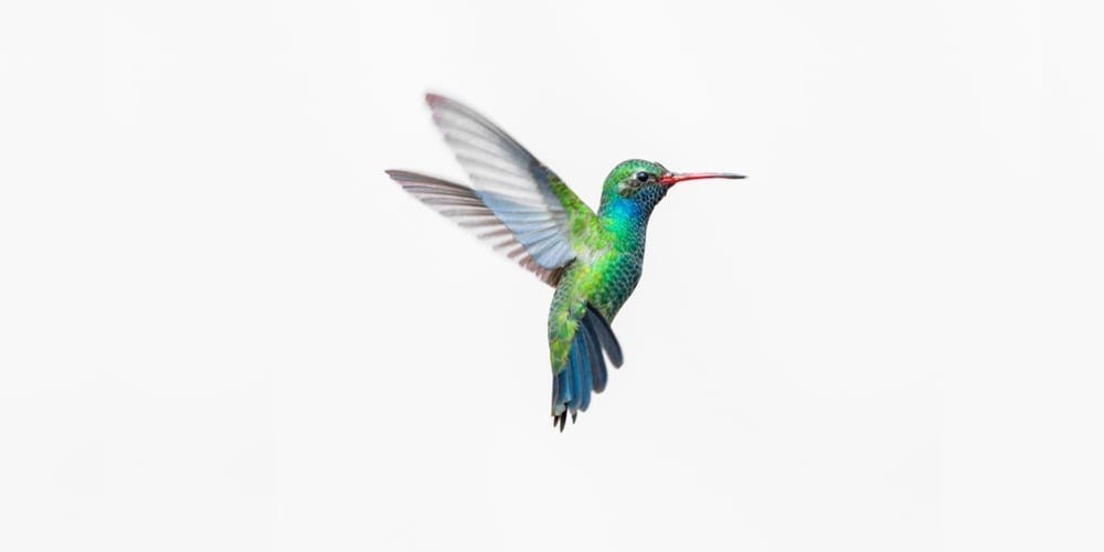 Authenticated requests with Vite + React 18 + Hummingbird Swift API ...