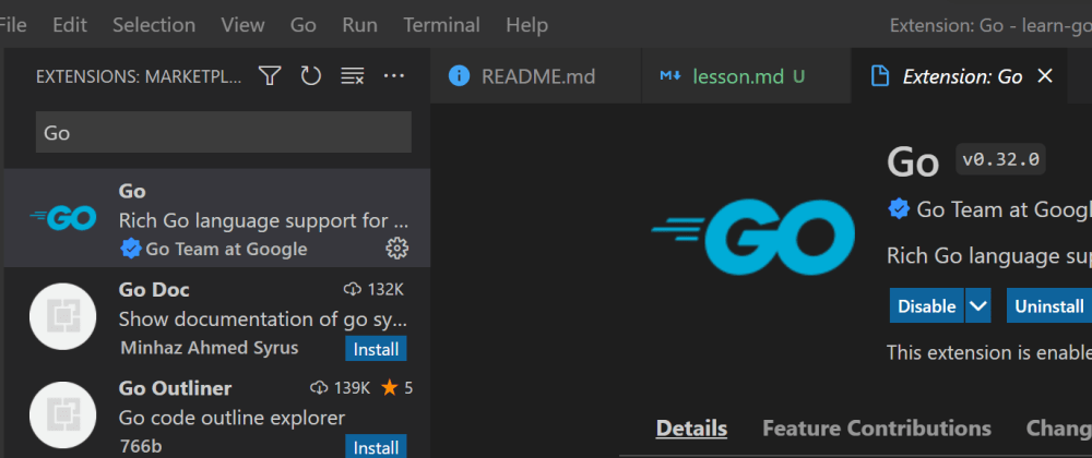 Setting up our Go Development Environment | by Will Velida | Level Up ...