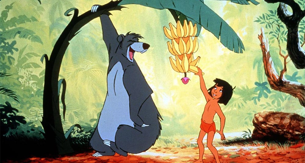 Las enseñanzas del oso Baloo. Los animales son unos grandes maestros ...