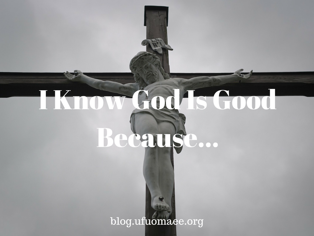 I Know God Is Good Because…. Because of Jesus. I don’t need any more ...