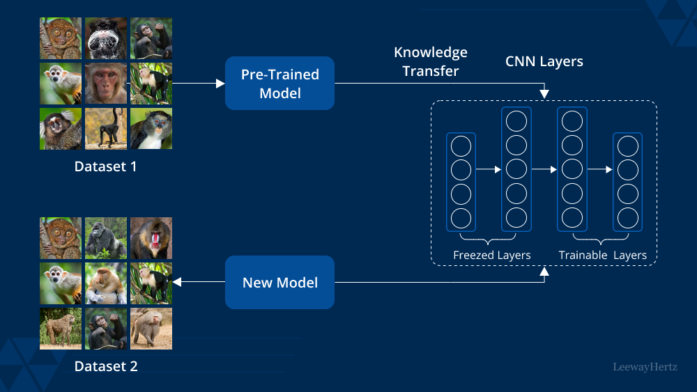 AI model training with transfer learning | by LeewayHertz | Nerd For Tech | Medium