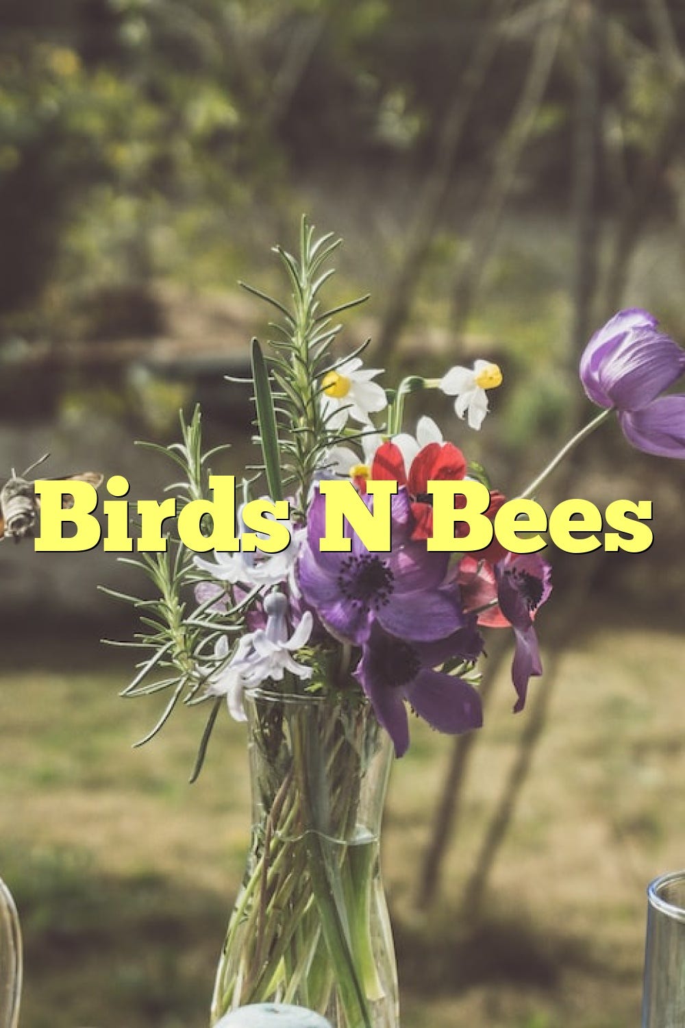 Birds N Bees | by Birdsquestions | Medium