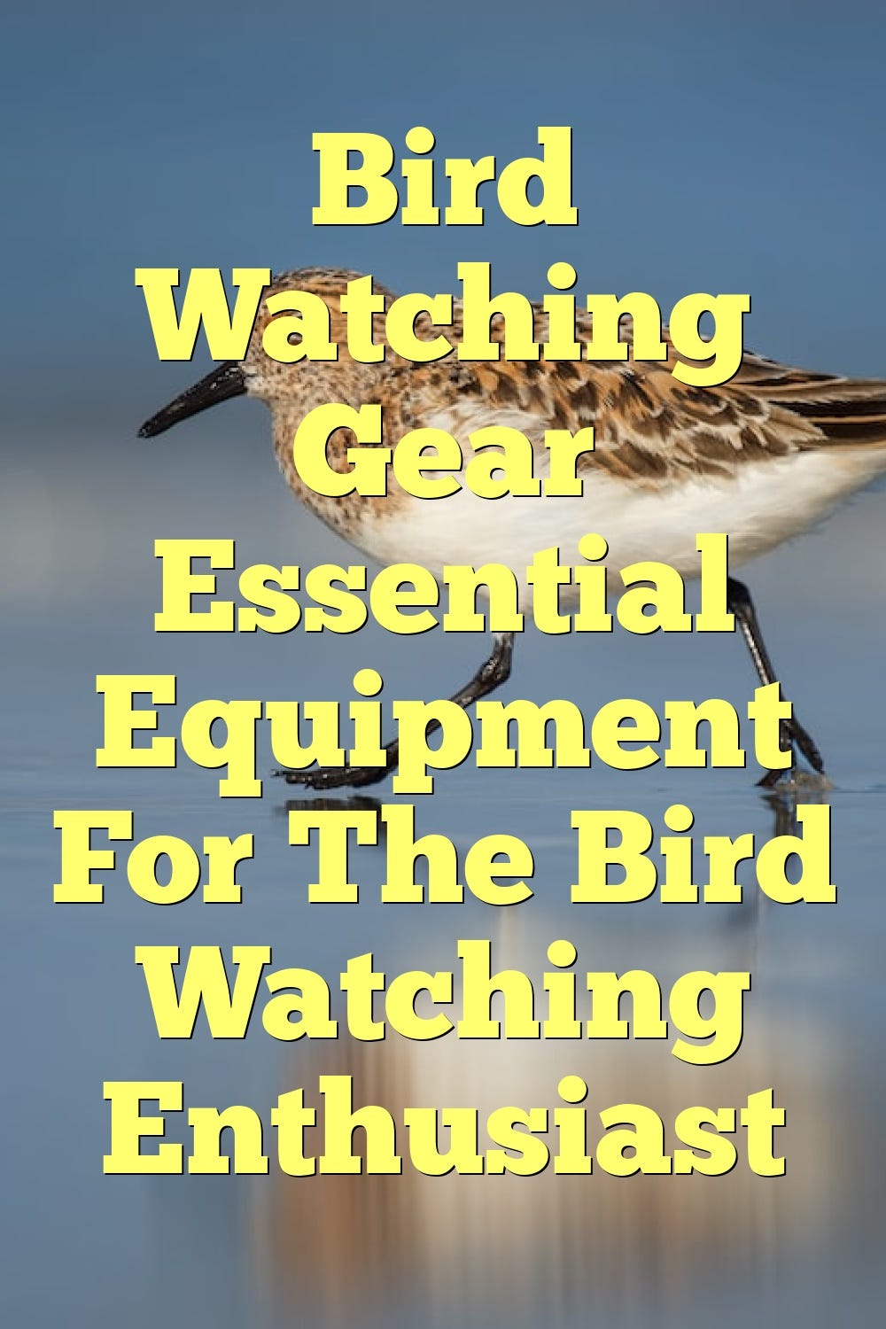 Bird Watching Gear Essential Equipment For The Bird Watching Enthusiast ...