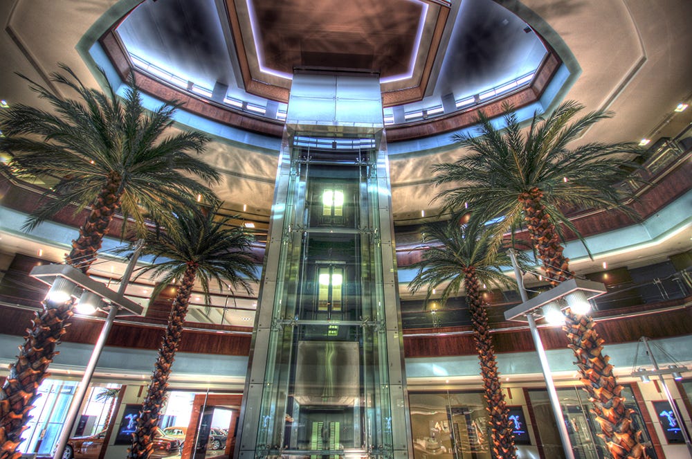 How Preserved Palm Trees Affect Your Interior? | by Planters — Dubai ...