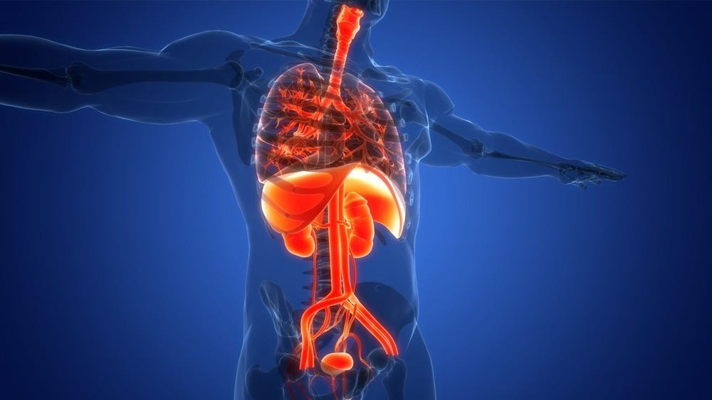 Breathe In, Breathe Out: Lymphangioleiomyomatosis | by Hayden Lim Khai ...