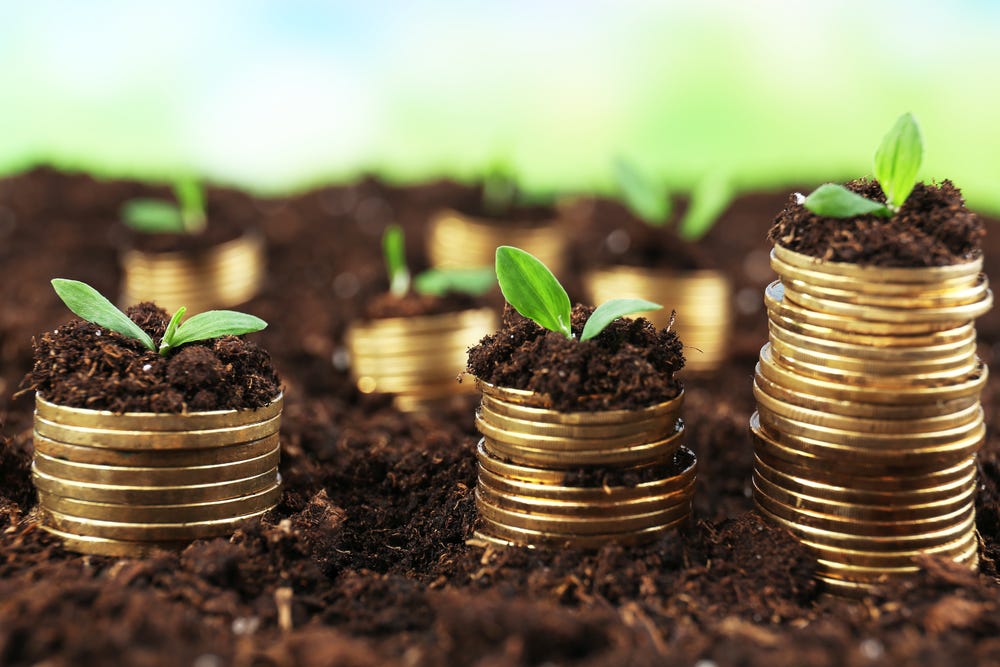 10 Ways to Earn as a Developer💰. In this article, we’ll explore some of… | by Dharshitha ...