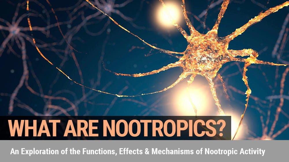 What Are Nootropics?. What Are Nootropics? | by Qualia Life | Medium