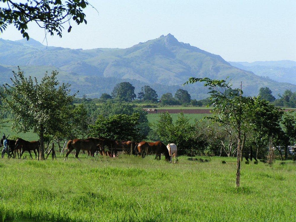 Eswatini: A Kingdom of Traditions and Progress | by Benyam | Medium