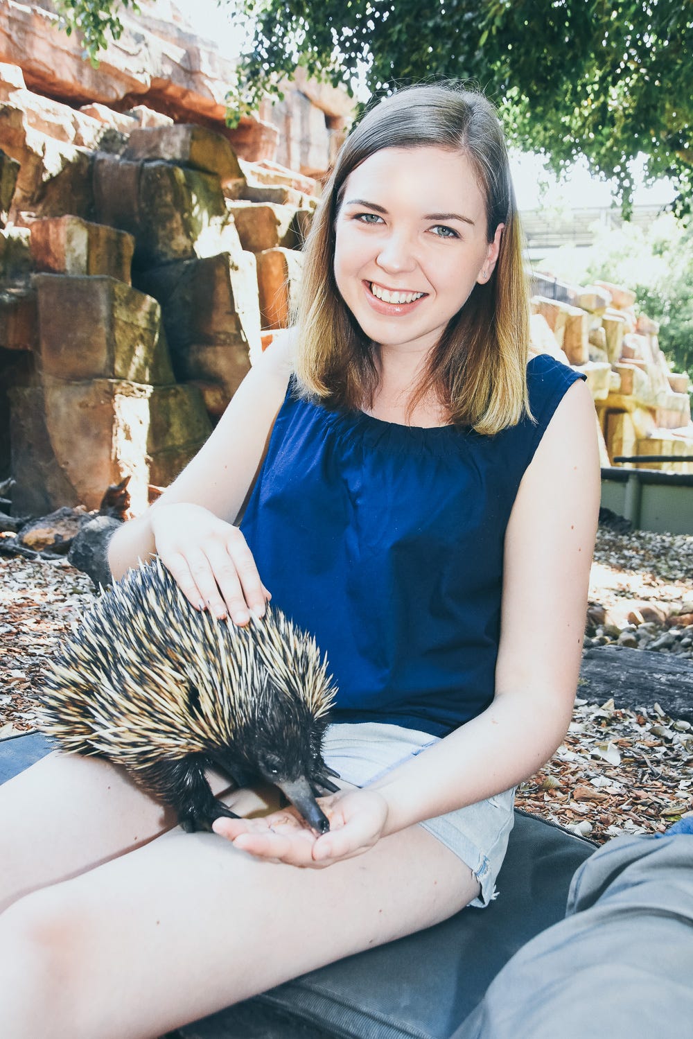 How to snuggle an echidna in real life | by Rachel {A Nesting Nomad ...