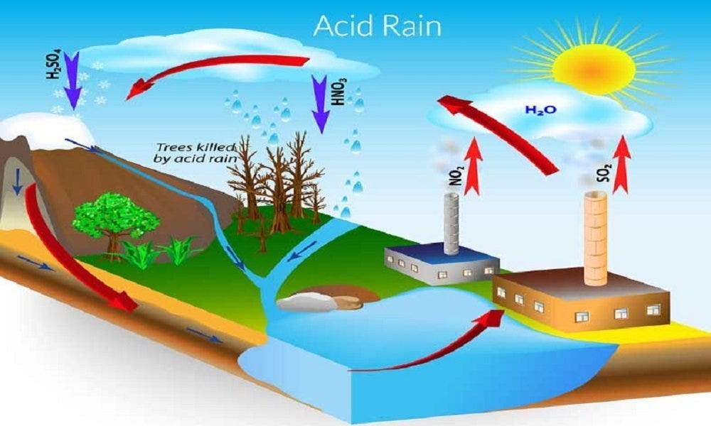 Acid Rain | by Biology Experts Notes | Medium